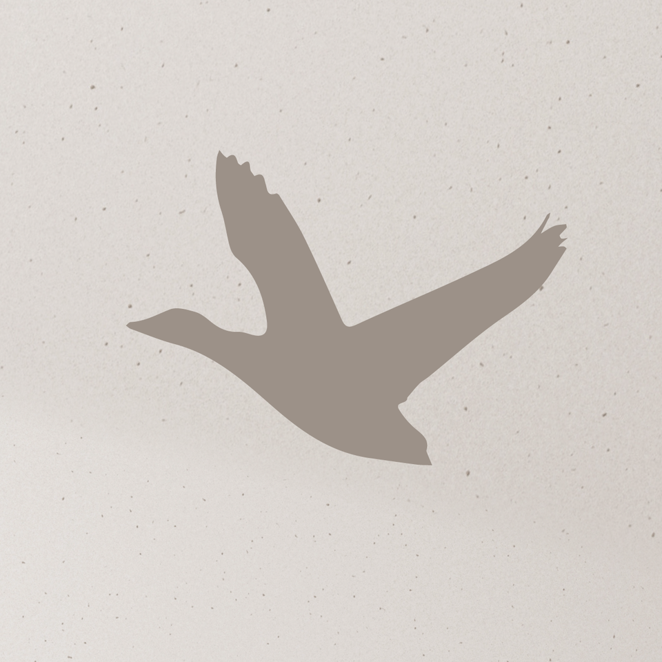 Flying Geese Wall Vinyl Decal Sticker - LondonDecal